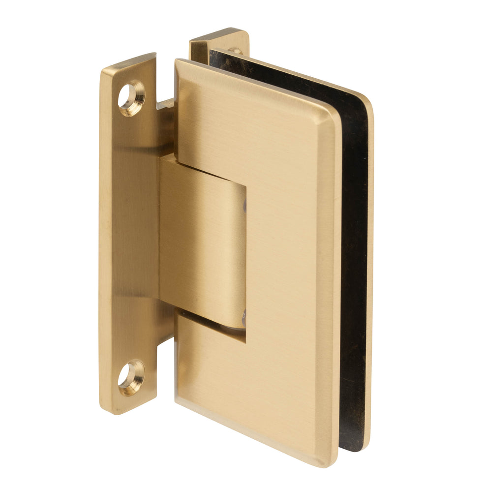 Wall Mount Full Back Plate Hinge - Heavy Duty – SAM Hardware